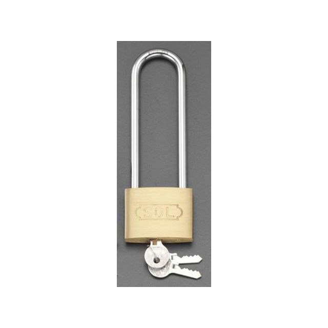●メーカー名：エスコ / ESCO●商品名：60mm シリンダー錠（ステンレス製ツル 120mm吊長）●メーカー品番：EA983TC-66●JANコード：4518340638815商品の保証は、メーカー保証書の内容に準じます。備考■材質…本...