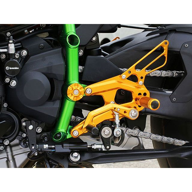 ●メーカー名：ベビーフェイス / BABYFACE●商品名：バックステップキット●仕様 逆 カラー ブラック・仕様：正 カラー：ブラックはこちら・仕様：正 カラー：ゴールドはこちら・仕様：逆 カラー：ゴールドはこちら●メーカー品番：002-...