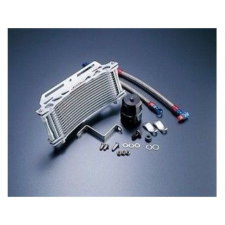 ●メーカー名：アクティブ / ACTIVE●商品名：OILクーラーステーSET ラウンド 11-13R●カラー シルバー・カラー：ブラックはこちら●メーカー品番：14051032●JANコード：4538792021331商品の保証は、メーカ...