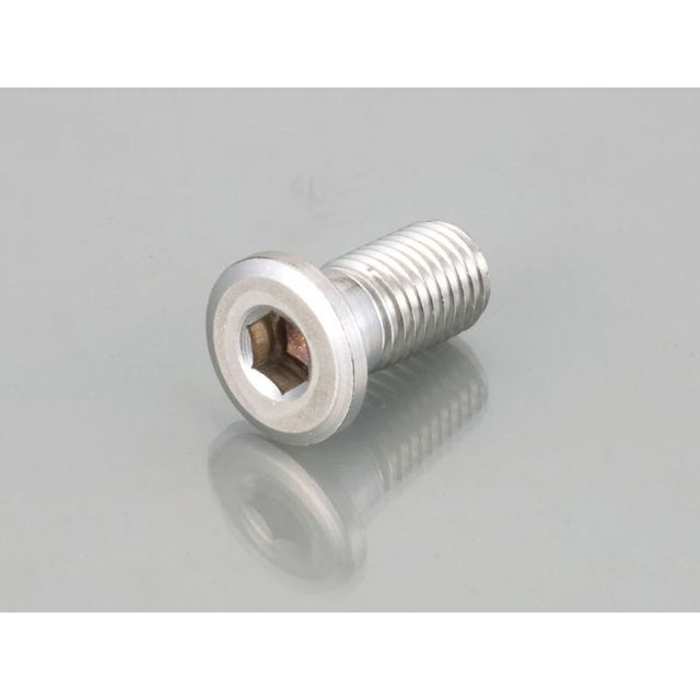 ●メーカー名：キタココンビニパーツ / K-CON●商品名：ローターボルト（ステンレス） ヤマハ type2 M10/P1.25●入数 1ヶ・入数：5ヶはこちら・入数：10ヶはこちら●メーカー品番：0900-500-07005●JANコード...