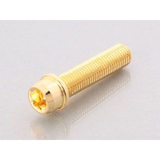 ●メーカー名：キタココンビニパーツ / K-CON●商品名：ビビッドボルト（24kコーティング） M10×P1.25●長さ 25mm・長さ：20mmはこちら・長さ：30mmはこちら・長さ：35mmはこちら・長さ：45mmはこちら●メーカー品...