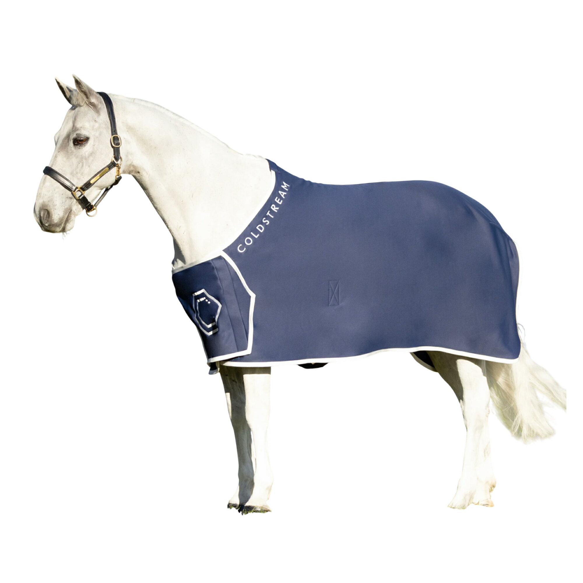 商品説明 ・ サイズ(き甲から尾の付け根/胸の中心から尾の中心 目安cm):5フィート 3(115/160)、 5フィート 6(120/168)、5フィート 9(125/175)、6フィート(135/183)、6フィート 3(140/191...