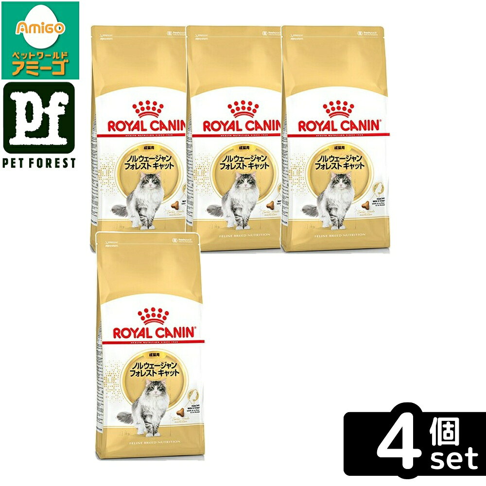 商品の特徴 ◇ロイヤルカナン ノルウェージャン フォレスト キャット専用フード 成猫用 2kg 猫用 ドライフード ロイヤルカナンがノルウェージャン フォレスト キャットの健康のために考える栄養バランス ノルウェージャン フォレスト キャッ...