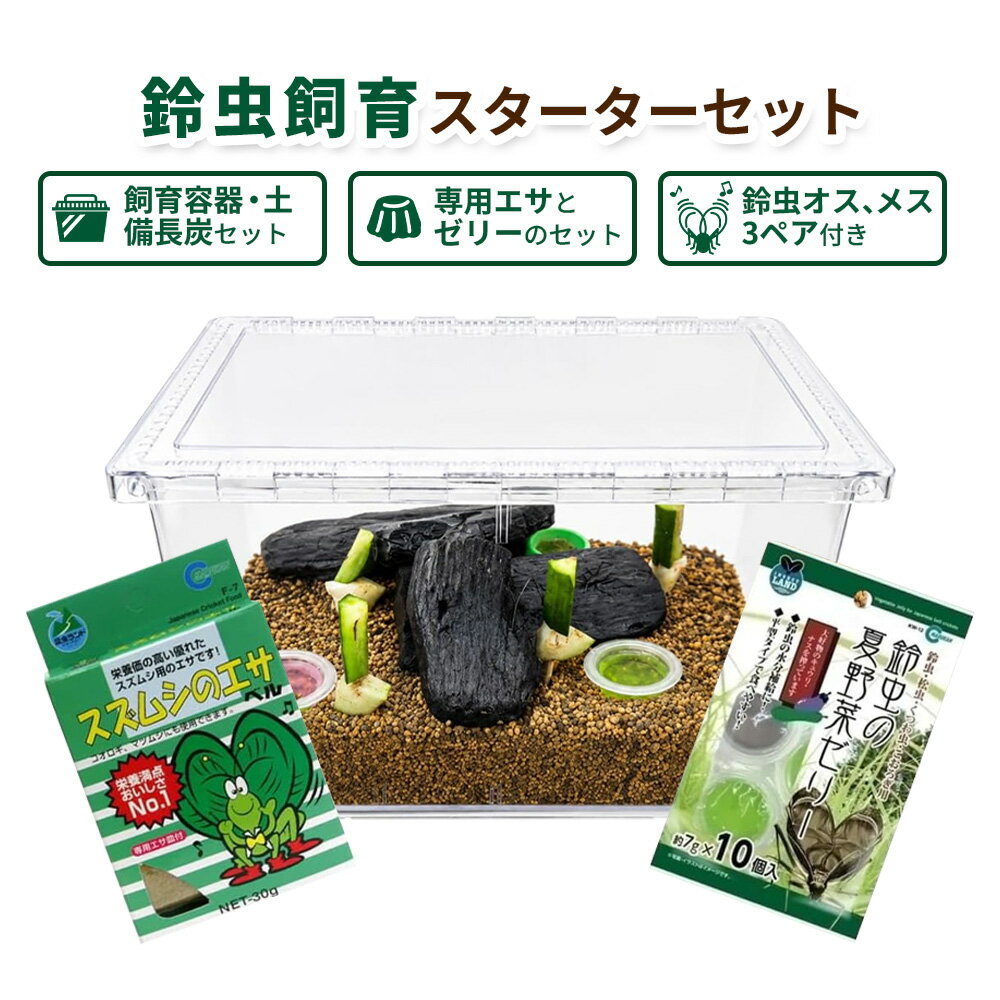 商品情報 商品の説明 鈴虫の飼育に必要なものをすべて揃えた、初心者向けの育成セットです。 成虫3ペアに加え、飼育ケース・エサ・ゼリー・土・備長炭・飼育ガイドまで付属しているため、届いたその日からすぐに飼育を始められます。 オスの鈴虫が奏でる...