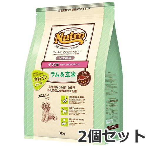 容量別ラインナップはこちら >> ナチュラルチョイス ラム＆玄米　子犬用　全犬種用　1kg >> ナチュラルチョイス ラム＆玄米　子犬用　全犬種用　3kg >> ナチュラルチョイス ラム＆玄米　子犬用　全犬種用　6kg 原材料ラム（肉）*2...