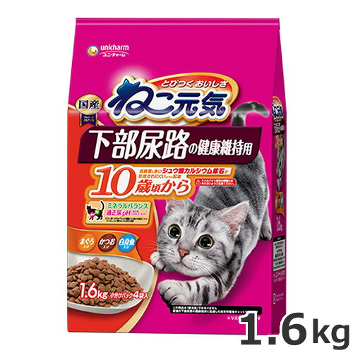 原材料穀類、肉類、魚介類、動物性油脂、野菜類、酵母エキスパウダー、ミネラル類、ビタミン類、アミノ酸類、着色料、酸化防止剤成分分析値タンパク質:28.0%以上、脂質:10.0%以上、粗繊維:3.0%以下、粗灰分:8.0%以下、水分:10.0%...