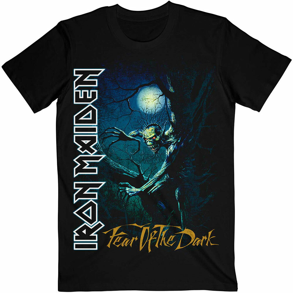Tシャツ アイアンメイデン / HEAVY METAL / ヘヴィメタル / アイアン・メイデン / BRUCE DICKINSON / ブルースディッキンソン / メタルバンドミュージック / ヘヴィメタル / ミュージックtシャツ / ...