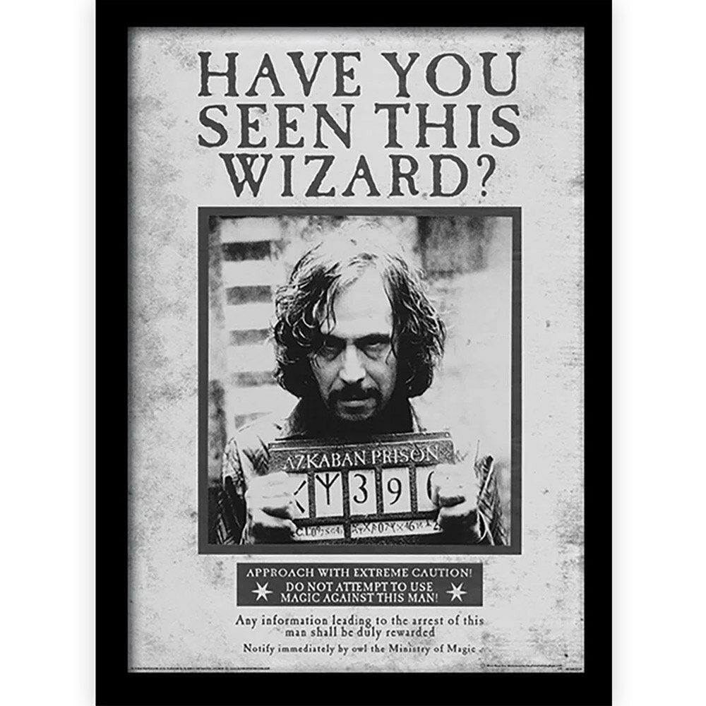 HARRY POTTER 公式インテリア額 サイズ：30×40cm どんなお部屋にもマッチします。 ハリーポッター / J・K・ローリング / SF・ファンタジー映画 / ハリー・ポッター / クリス・コロンバス / アルフォソン・キュアロ...