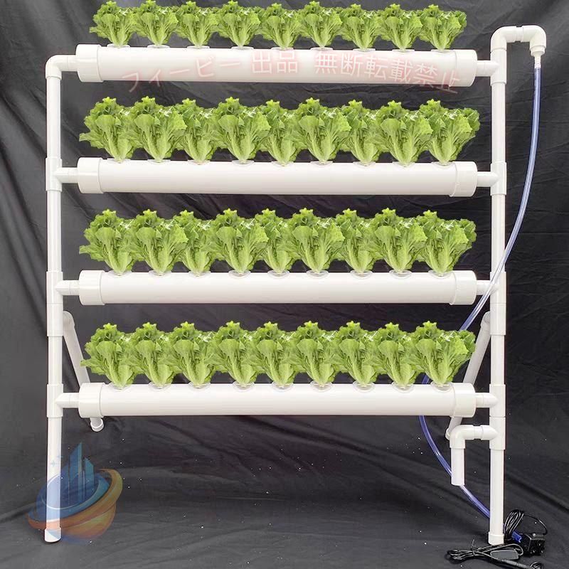 水耕栽培キット すいこう栽培キット いちご 野菜 栽培キット 室内 家庭菜園 水耕栽培セット プランター36穴 (36 穴)