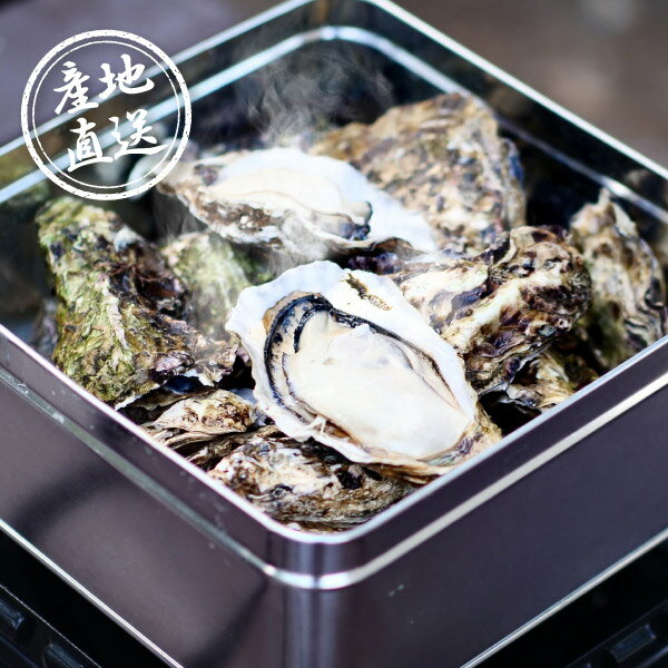 内容冷凍殻付かき1.6kg（12〜20個）、軍手・ナイフ付 箱サイズ280×260×120mm 重量2,400g 賞味期限冷凍360日 注意事項 ※こちらの商品は、のしは対象外となっております。 ※本商品は、他の商品との同時購入・同梱は不可...