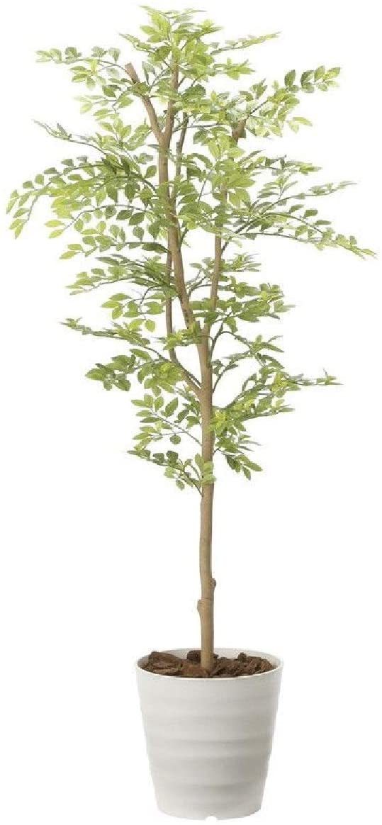 光触媒 光の楽園 ゴールデンリーフ1.252013A200 フェイクグリーン 人工観葉植物 光触媒 光触媒人工植物 造花 新築祝い 引越祝い 開店祝い 開業祝い 誕生日 バースデー 結婚 ウェディング 出産祝い　引越し祝い 敬老 母の日　父...