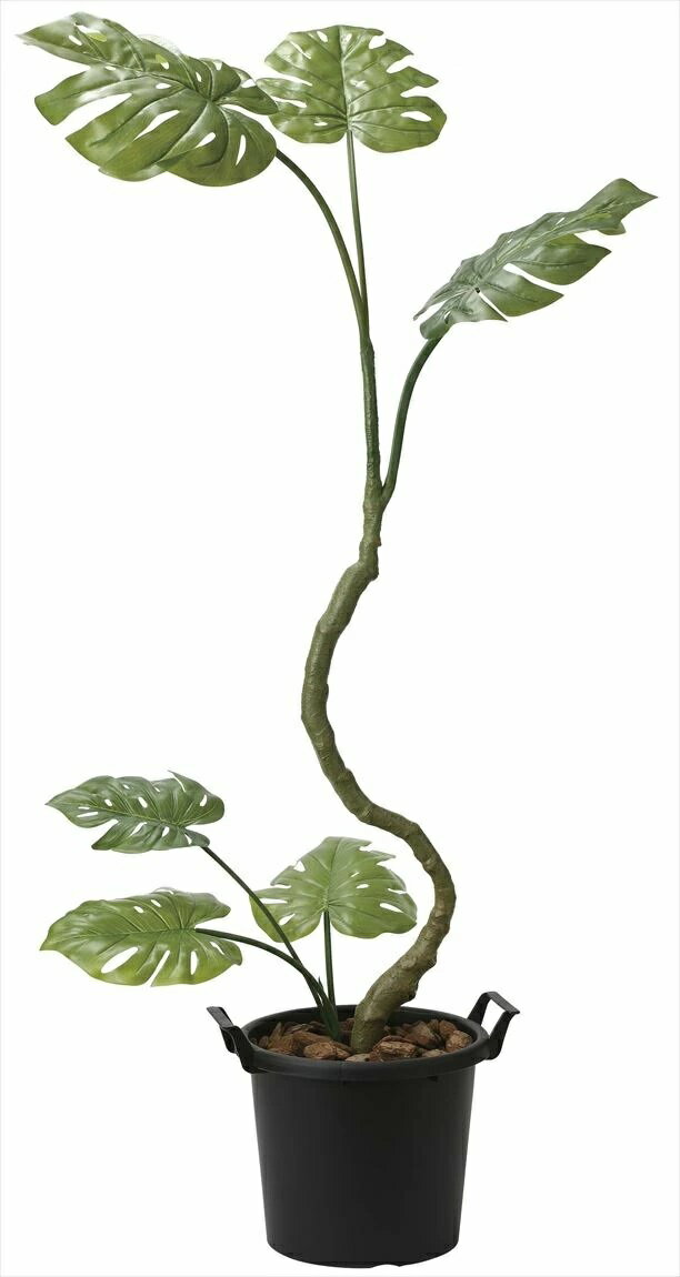 光触媒 光の楽園 インテリアモンステラ1.72025A250　人工植物 造花 フェイクグリーン おしゃれ インテリア フロアタイプ 約 幅80×奥行58×高さ170cm 光触媒人工植物 造花 新築祝い 引越祝い 開店祝い 開業祝い 誕生日 ...