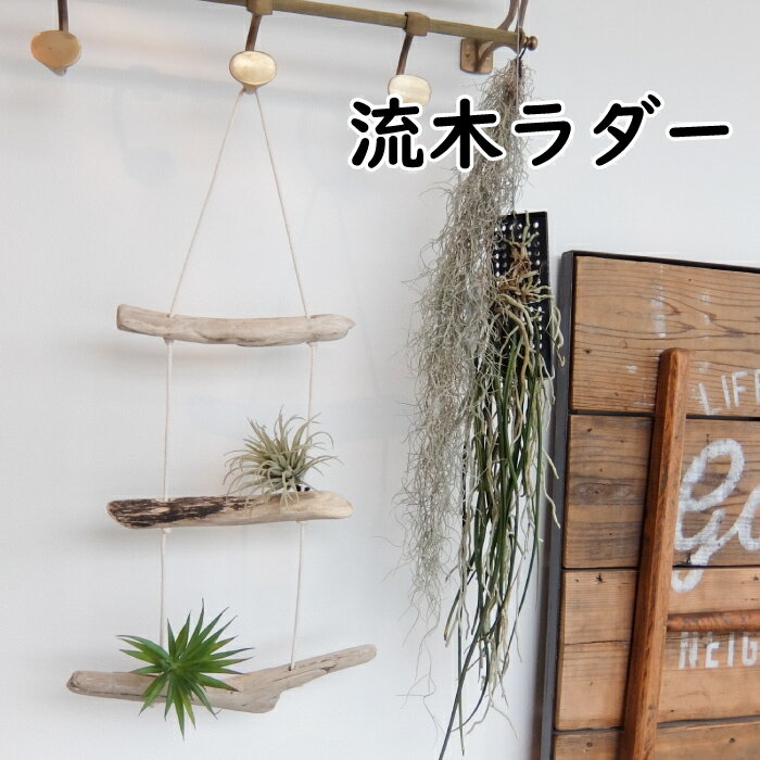 楽天市場】流木 インテリア(その他|インテリア・寝具・収納 楽天市場】流木 インテリア(その他|インテリア・寝具・収納