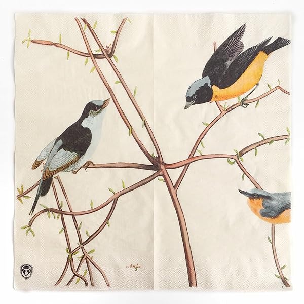 Zelten 結婚式・ディナー・ティーパーティー用カラーペーパーナプキン 20枚入り シャビーシックデザイン DIYデコパージュ用, 春の鳥とレトロな蔦模様ブランドZelten色春の鳥とレトロな蔦模様モデルZelten商品説明【商品概要】折...