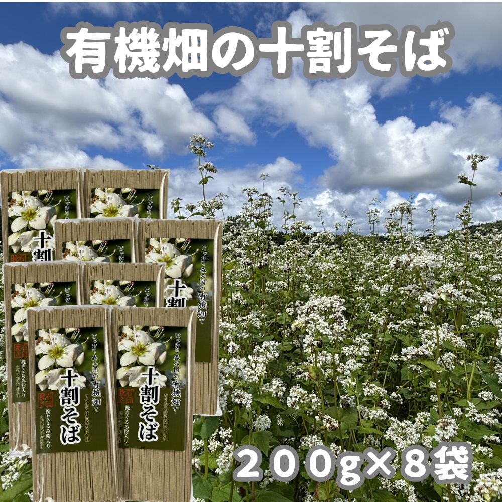 【そば グルテンフリー 麺類 無添加 有機そば 10割そば 乾麺 十割そば 広大な森と湖、我が物顔の動物たち 日本最寒の地、朱鞠内。 どこよりも厳しい自然環境、そして、上流には人工物が無い、ピュアな天然水が育む作物たち 私たちがお届けする商...