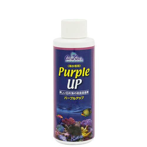 石灰藻の増殖に！ カリブシー　カミハタ　パープルアップ　120ml 特長 ●美しい石灰藻を維持するための成長促進剤です。 ●ライブロック表面を彩る、ピンクや紫の石灰藻の成長に必要なカルシウム、ストロンチウム、ヨウ素、微量元素をまとめて供給し...