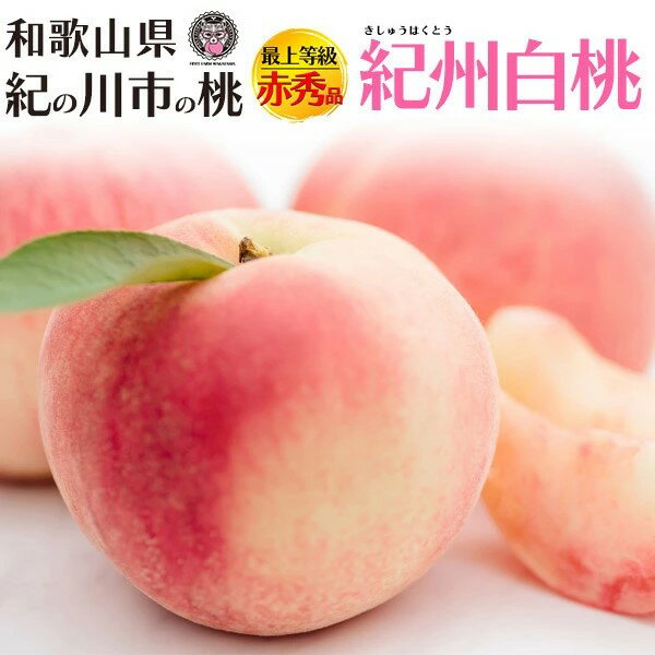 贈答用 和歌山県産　 最上等級 赤秀品 紀州白桃 桃の出荷量西日本1位の和歌山県にある「ふるーつふぁーむわかやま」から 1番美味しい状態の完熟桃をお届けします！ 「ふるーつふぁーむわかやま」では収穫前に必ず糖度を測り、 お客様に満足していた...