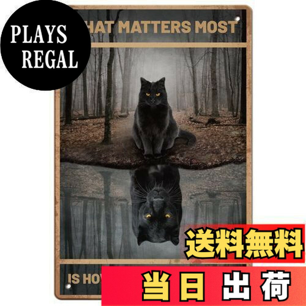 商品情報商品の説明主な仕様 デザイン:自己励ましをテーマにしたブリキの看板です。画面の黒猫の影は黒ヒョウです。この絵は、自分をどう見るかが一番大切だと教えてくれます。この看板を受け取った人が理想の自分になれることを願っています。br高品質素...