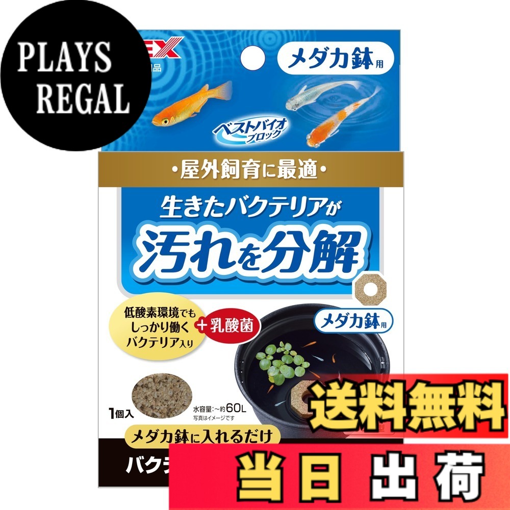 商品情報商品の説明商品紹介 白濁りや水質への影響を無くすため、本製品を別容器に入れて、約12時間を目安に水に浸してからご使用ください。 使用量の目安を参考に、メダカケースに沈めてご使用ください。使用量が多いほど分解効果は高くなりますが、多く...