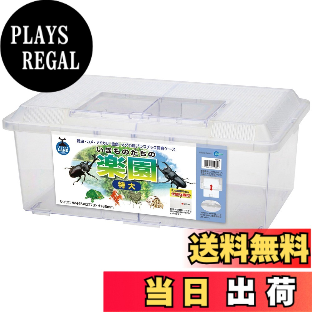 商品情報商品の説明商品紹介 生体の観察、出し入れしやすい大きなスライド式トビラ。フタのロックが確認可能なストッパー、2つの部屋が作れる仕切り板付きです。 使用方法 上部フタを下部ケースにかぶせ、しっかりはめ込んで固定して下さい。主な仕様 観...