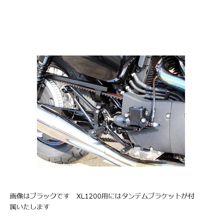 メーカー名：ベビーフェイスメーカー品番：002-HD006SVTc4ポジション可変のバックステップキットです。ノーマルシートでも違和感なく使用でき、なおかつスポーティーな走行が楽しめるポジションで、着脱式のタンデムブラケットが付属いたします...