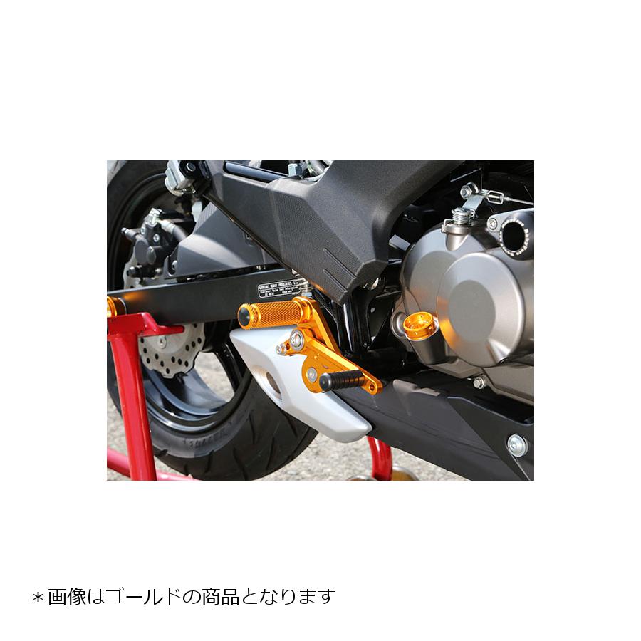 メーカー名：ベビーフェイスメーカー品番：002-K029SVZ125 Pro (16-)用のバックステップキットです。街乗りをメインに考えながらも、2カ所のスポーティーなポジションを設定いたしました。両ペダルの軸受けには精密ベアリングをダブ...