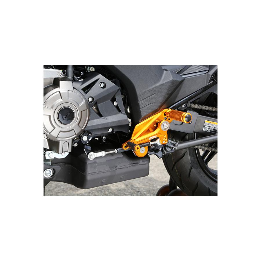 メーカー名：ベビーフェイスメーカー品番：R02-K005GD販売備考：チェンジ:逆 4ポジション ※レース専用品のため、ブレーキランプスイッチやABSには対応しておりません適合情報：カワサキ[KAWASAKI] Z125 PRO 16-ポジ...