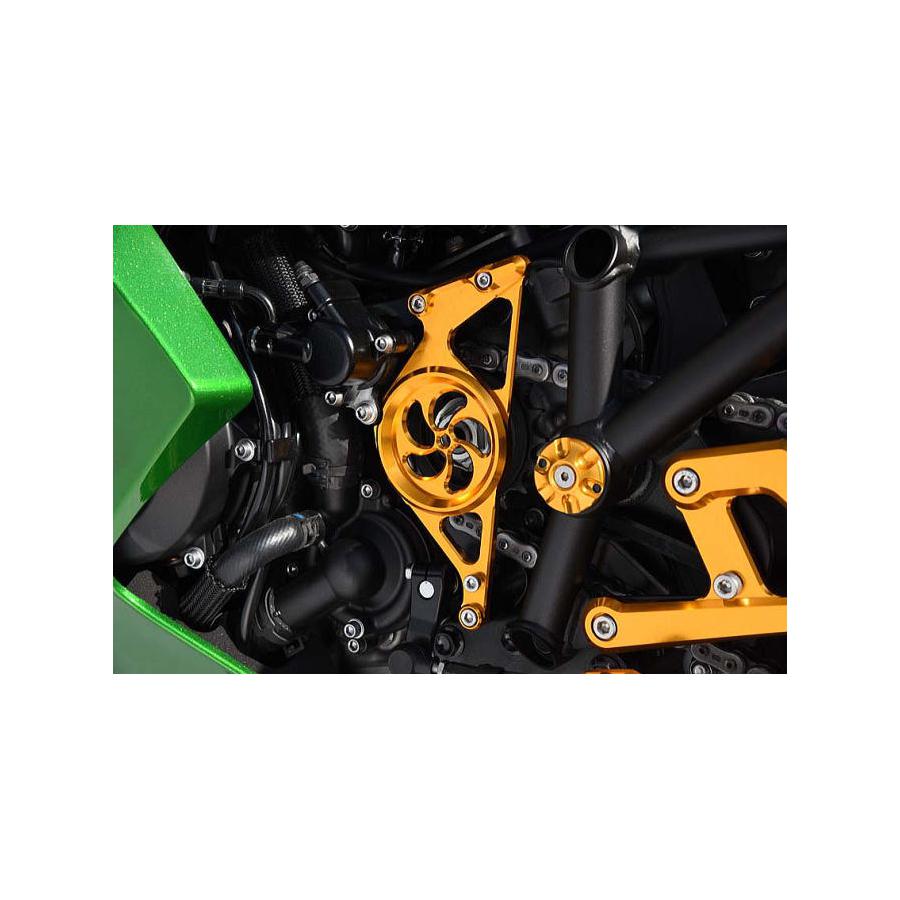 メーカー名：ベビーフェイスメーカー品番：002-K037SGD適合情報：カワサキ[KAWASAKI] Ninja H2 SX [ニンジャH2SX] 18◆シフト感をよりダイレクトにする、シフトスピンドルホルダーです ◆軸受け部分にはテフロン...