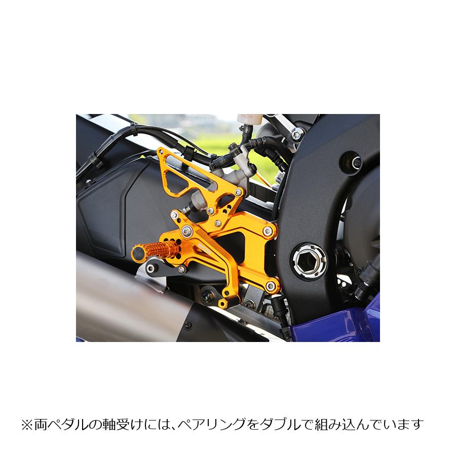 メーカー名：ベビーフェイスメーカー品番：R02-Y006GD販売備考：レース専用品の為、ブレーキランプスイッチやABSには対応していません適合情報：ヤマハ[YAMAHA] YZF-R6 17-ポジション：8移動量[UP/BACK]：［Up/...