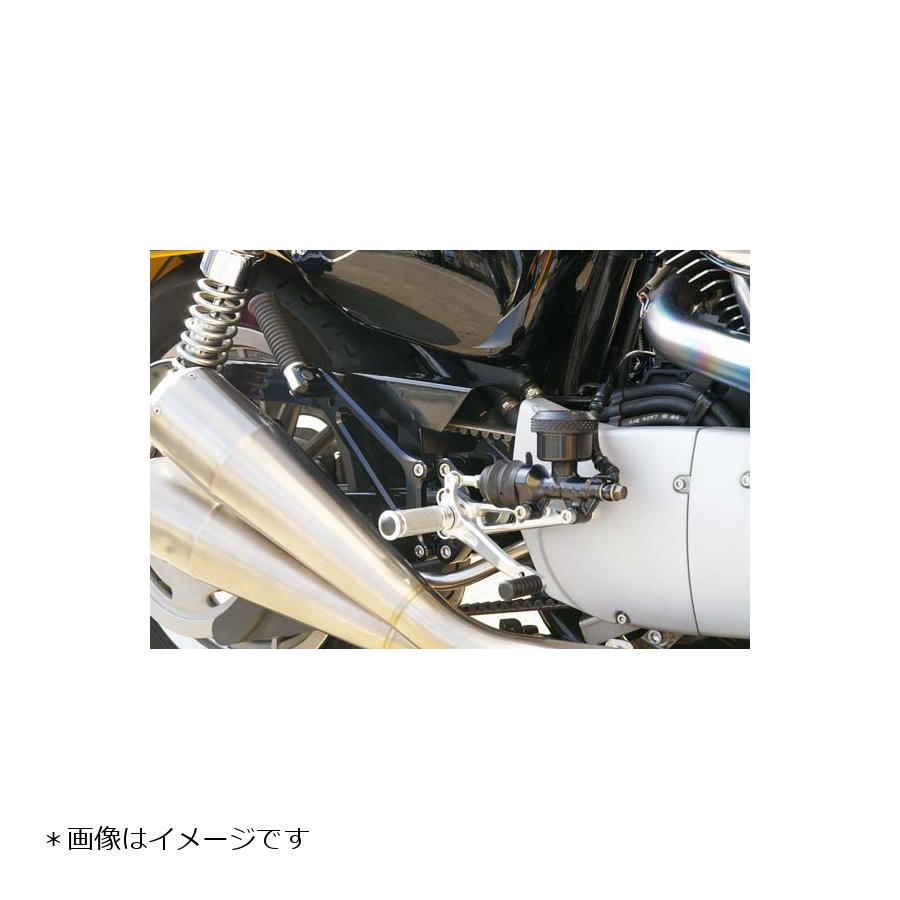 メーカー名：ベビーフェイスメーカー品番：002-HD006SVTbマルチポジションのスポーツスター用バックステップがモデルチェンジ!!可変ポジション、タンデムブラケット等今までの機能を残しつつ、ペダルデザインを従来からのエッジとラウンジの複...