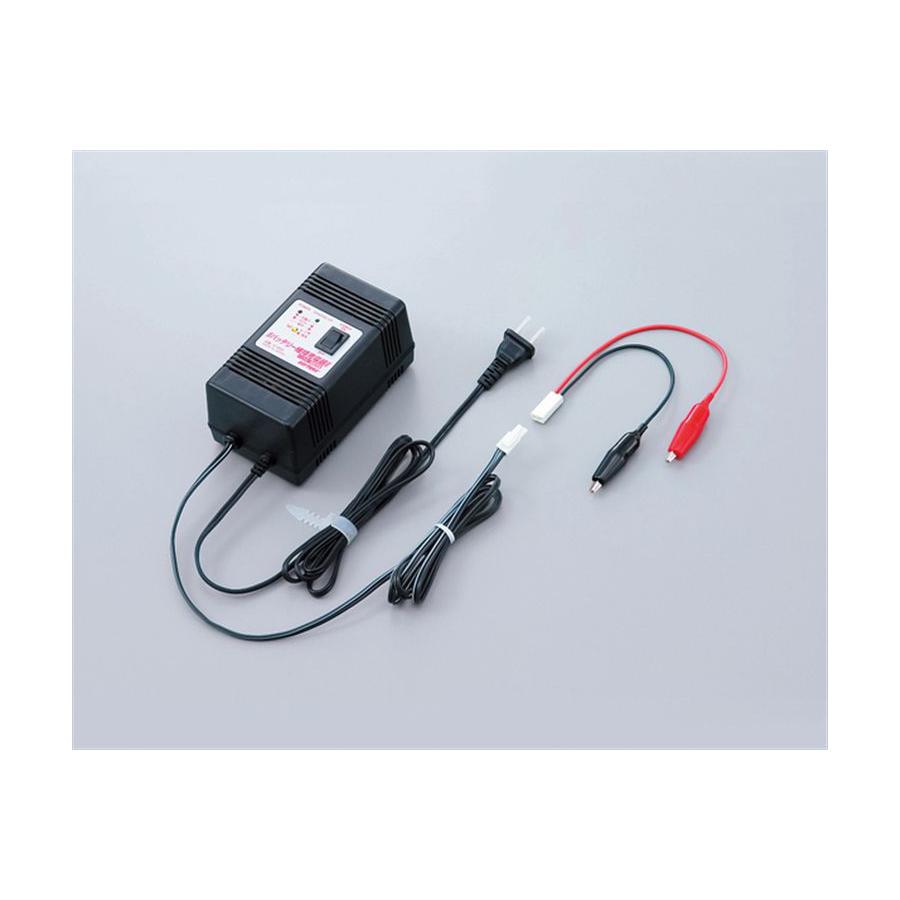 メーカー名：デイトナメーカー品番：68586長期保管時のバッテリー上がりを防止!ワニ口クリップでバッテリーに直接接続。タイプ：ワニ口タイプ備考：備考:充電可能バッテリーサイズ:2.3Ah-28Ah/10HRタイプ　直接接続タイプ維持充電器本...