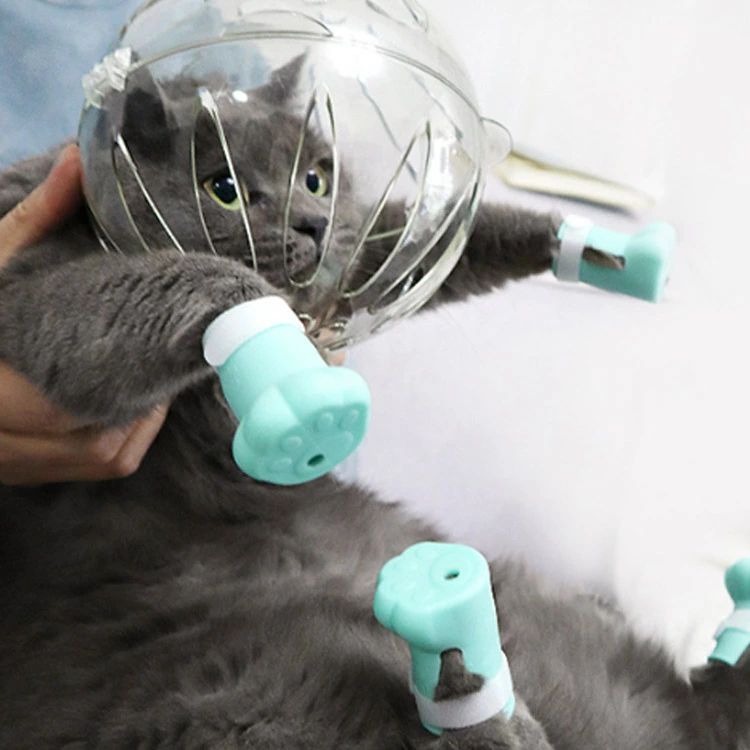 安全なABS素材シャワーや爪切り、目薬差し、耳掃除、美容などの噛み防止、手術後の傷舐め防止に♪猫の不安も軽減する透明タイプです。前後には通気穴が開いており、通気性も確保して蒸れを防ぐ仕様です。マジックテープ式でスムーズに装着できるため、飼い...