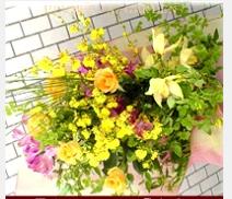 ○お祝い系では【お歳暮】【クリスマス】【季節の贈物】【ウィンターギフト】として！ 【誕生日】【お誕生日】【ウェディング】【結婚祝い】【結婚式】の贈物【合格祝い】【お見舞い】(ご自宅時)【感謝の気持ち】【卒業・入学】【慶弔花】【出産祝い】【記...