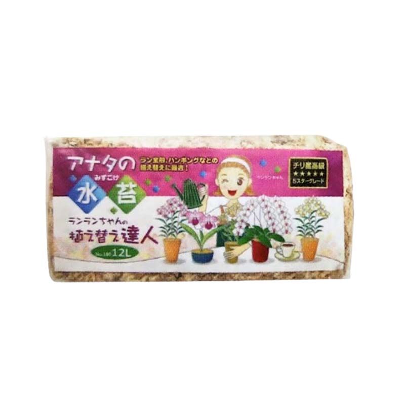 吸水性・保水性・排水性に優れ、清潔です。 洋らん他、乾燥防止剤としてお使いいただけます。 5スターグレード！ 【商品仕様】 容量：12L（150g） サイズ：295×125×75mm 入数：40袋 類似商品はこちら水苔 チリ産水苔 40L ...
