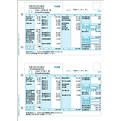給与明細書ページプリンタ・インクジェットプリンタ兼用用紙(単票用紙) ページ（レーザー）プリンタ・インクジェットプリンタ対応の給与明細書。全員メッセージに加え個別のメッセージをメモ欄に印刷できます。 詳細スペック タイプ専用紙 サイズ(規格...