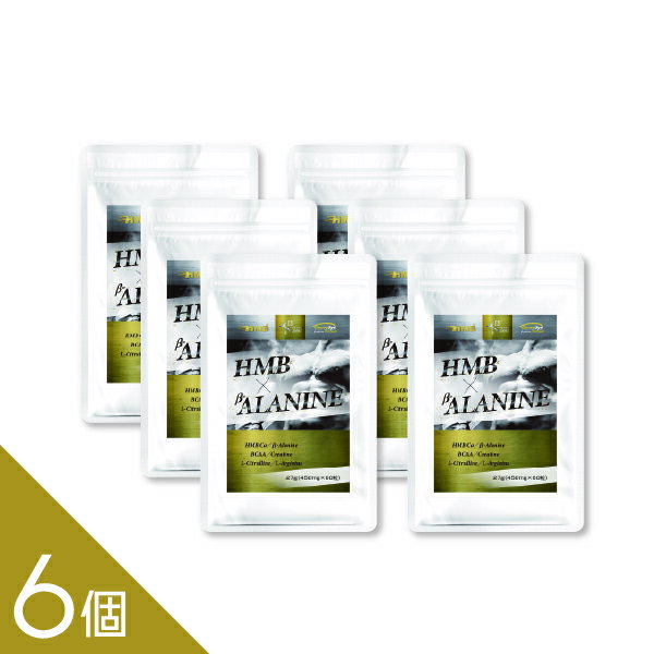 HMBMAX（R）β-アラニン60は、運動習慣のある方やトレーニングを頑張る方の毎日をサポートするサプリメントです。 主成分としてHMBカルシウムとβ-アラニンを配合し、さらにL-シトルリン、L-アルギニン、クレアチンモノハイドレート、BC...