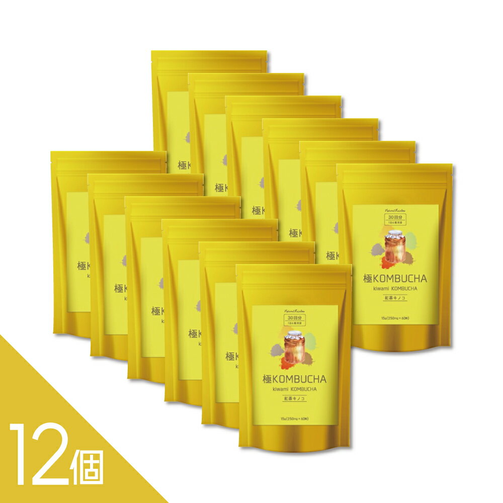 商品詳細 ◆商品名 極（きわみ）KOMBUCHA ◆名称 発酵紅茶エキス（紅茶きのこエキス）末含有加工食品 ◆原材料名 オリゴ糖、紅茶エキス（紅茶、オリゴ糖、環状オリゴ糖）、発酵紅茶エキス末（デキストリン、発酵紅茶エキス）、植物発酵エキス末...