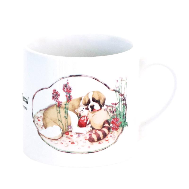 「 あらいぐまラスカル 」 45周年記念 my little rascal