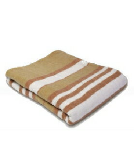 在庫あり。在庫僅か。【特長】洗えるひざ掛け毛布(120×80cm)■冷え性の方に。電気のぽかぽかひざ掛け■温度調節■ダニ退治■洗える毛布【仕様】●消費電力:55W●素材:ポリエステル100％●表面温度:52℃●電気代:約1円/時●サイズ:1...