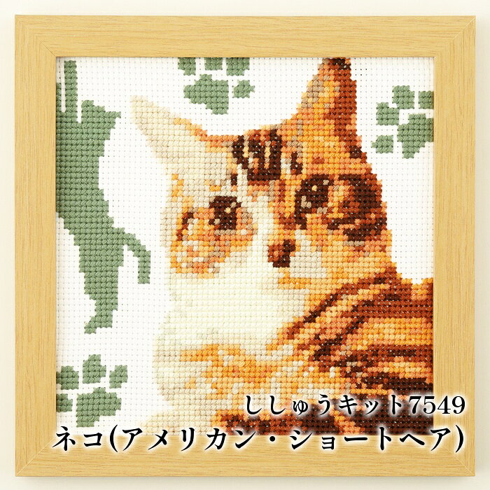 ※カラー選択無 商品情報明細 メーカー オリムパス製絲 商品名 オ)刺しゅうキット7549 ネコ 商品名 ネコ(アメリカン・ショートヘア) デザイン者 使用用具 縫い糸、縫い針、はさみ、テープ 出来上がりサイズ 額外径：約24.4cm×24...