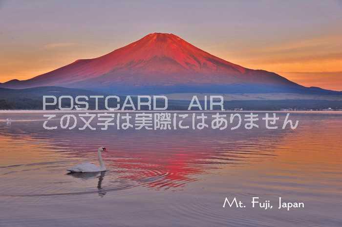 商品情報 サイズと厚み 100mm×148mm×0.33mm（官製はがきの0.23mmよりも分厚い0.33mmです）素材 マット紙用紙特徴 鉛筆・ボールペン・マーカーなどを使って書き込みができます。注意書き お使いのモニターにより、実際のポ...