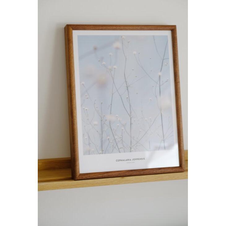 DENTOU KOUGEITIPO (walnut) 30x40cm | 国産無垢ウッドフレーム 国産の端正なフォルムの無垢フレーム。 「そのシンプルで美しいデザインは、装飾が施されているものの良さを引き出します」 この額縁は写真や絵をより...