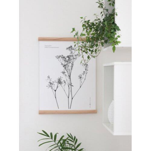 MICUSHGYPSOPHILA ART PRINT (30x40cm)アートプリント ポスター インテリア おしゃれ イスラエルのブランド、Micushによるボタニカル・アート。 イスラエルの都市、Tel AvivをベースにMichal ...