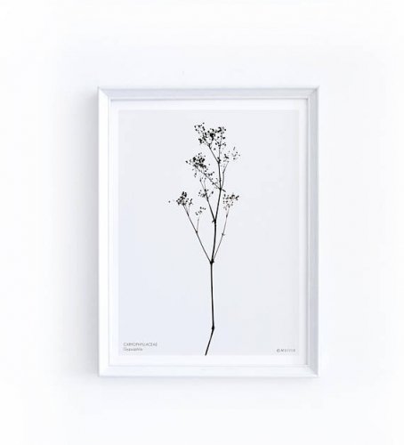 MICUSHGYPSOPHILA ART PRINT (30x40cm)アートプリント ポスター インテリア おしゃれ イスラエルのブランド、Micushによるボタニカル・アート。 イスラエルの都市、Tel AvivをベースにMichal ...
