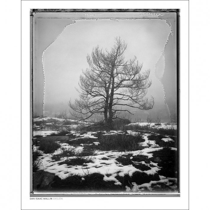 DAN ISAAC WALLINOXSJON (40x50cm)北欧 ポスター スウェーデン 写真 アート アートポスター スウェーデンのDan Isaac Wallinによる静寂なフォトアート。 スウェーデンのDan Isaac Wall...