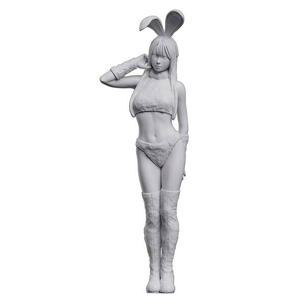 ハイクオリティーなリアル造形フィギュアをお手頃価格なレジンキットでお届け！第45弾は、かわいさ満点セクシー＆キュートな「もこもこバニー」を立体化！原型製作はバーミリオン氏が担当。もこもこ表現にご注目♪※画像は製作中のCGです。メーカー名：ハ...