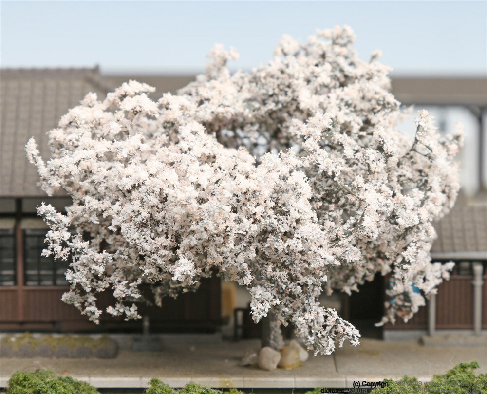 世界のジオラマ材料をご紹介します。日本の風景には欠かせない「桜」をリアルに表現できるジオラマの新素材を製品化。桜の繊細な質感を再現できる新素材や製法を採用した、新しい素材です。広葉樹の幹/針葉樹の幹にジオラマ糊で天然素材樹木を接木し、枝にジ...