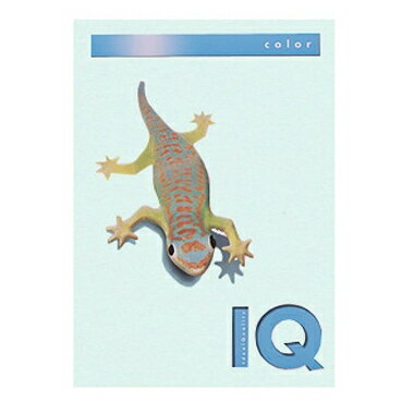 スペック* 坪量:80g/m2* 四六判換算:68.8kg* 紙厚:0.103mm* 対応プリンタ:熱転写、モノクロレーザー、カラーレーザー、インクジェット※ISO9706:品質保証規格であるISO9000シリーズのひとつです。