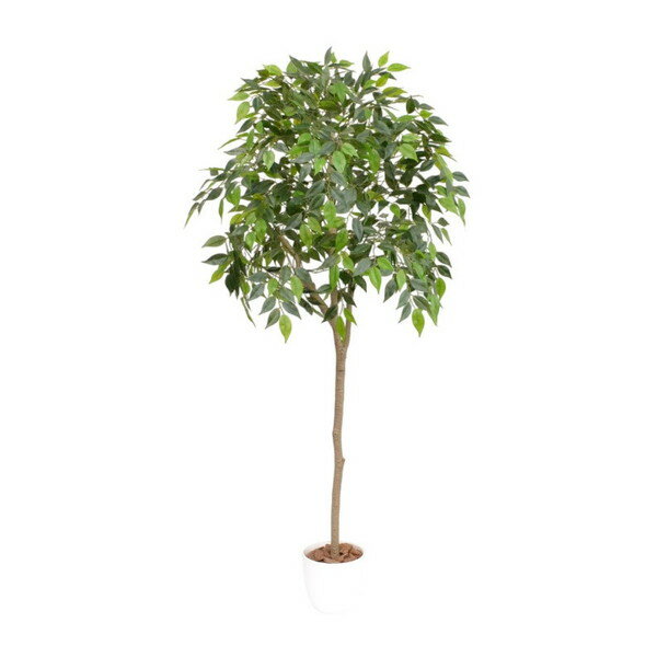 商品説明★ 水やり不要・日光不要で置く場所を選ばずお手入れも簡単です。★ グリーンによる癒し効果もあるので自宅に限らずオフィスにもお勧めです。★ 葉は光触媒加工を施しており、置いておくだけでお部屋の空気をキレイにし、消臭、防菌作用が得られま...