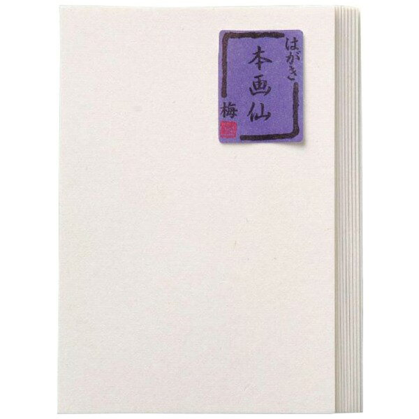 商品説明★ にじみが多い本画仙はがきです。スペック* 商品サイズ：100×148mm* 仕様：100枚入り* 個装サイズ：16×11×4.8cm